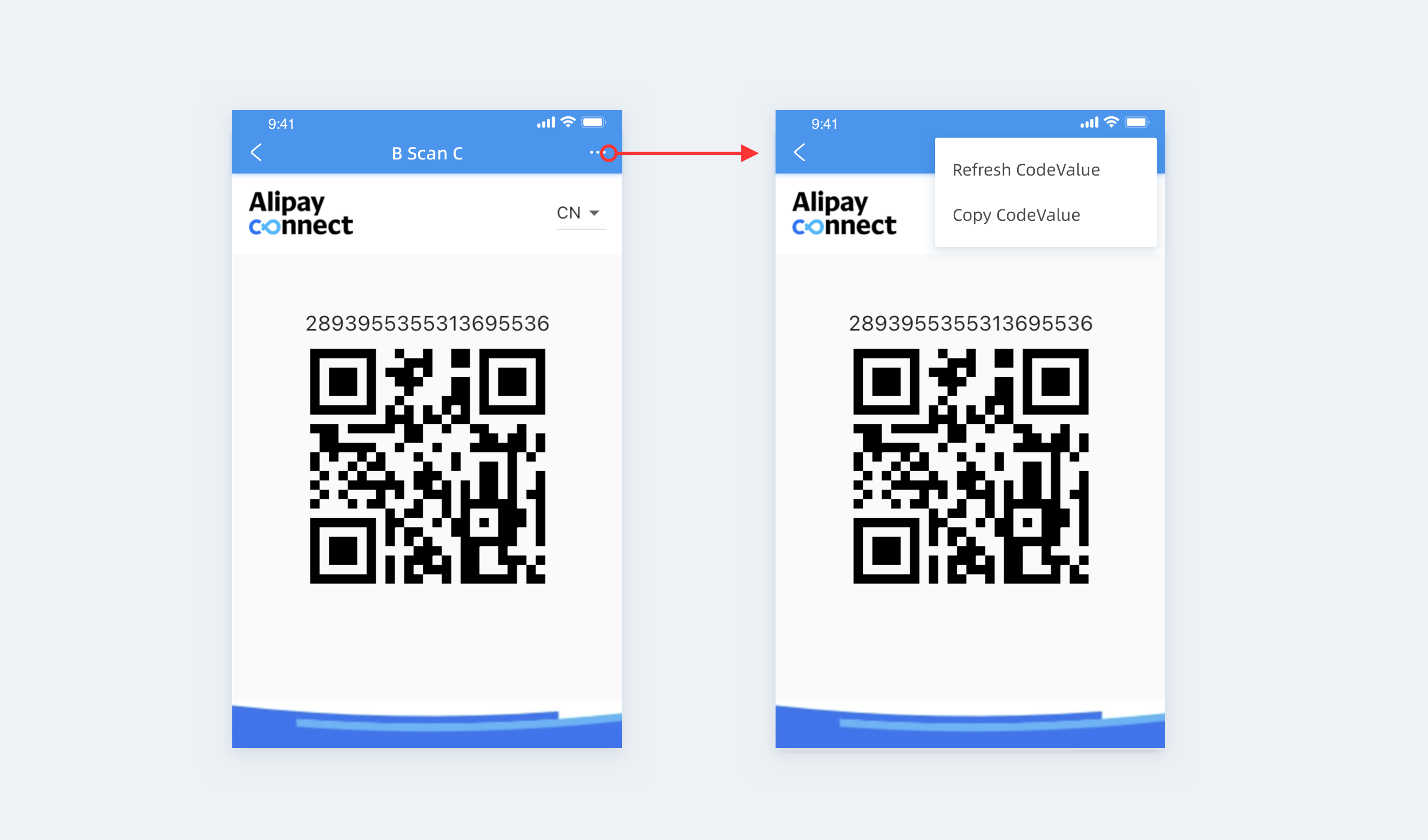 Test wallet | Development reference | Alipay Docs